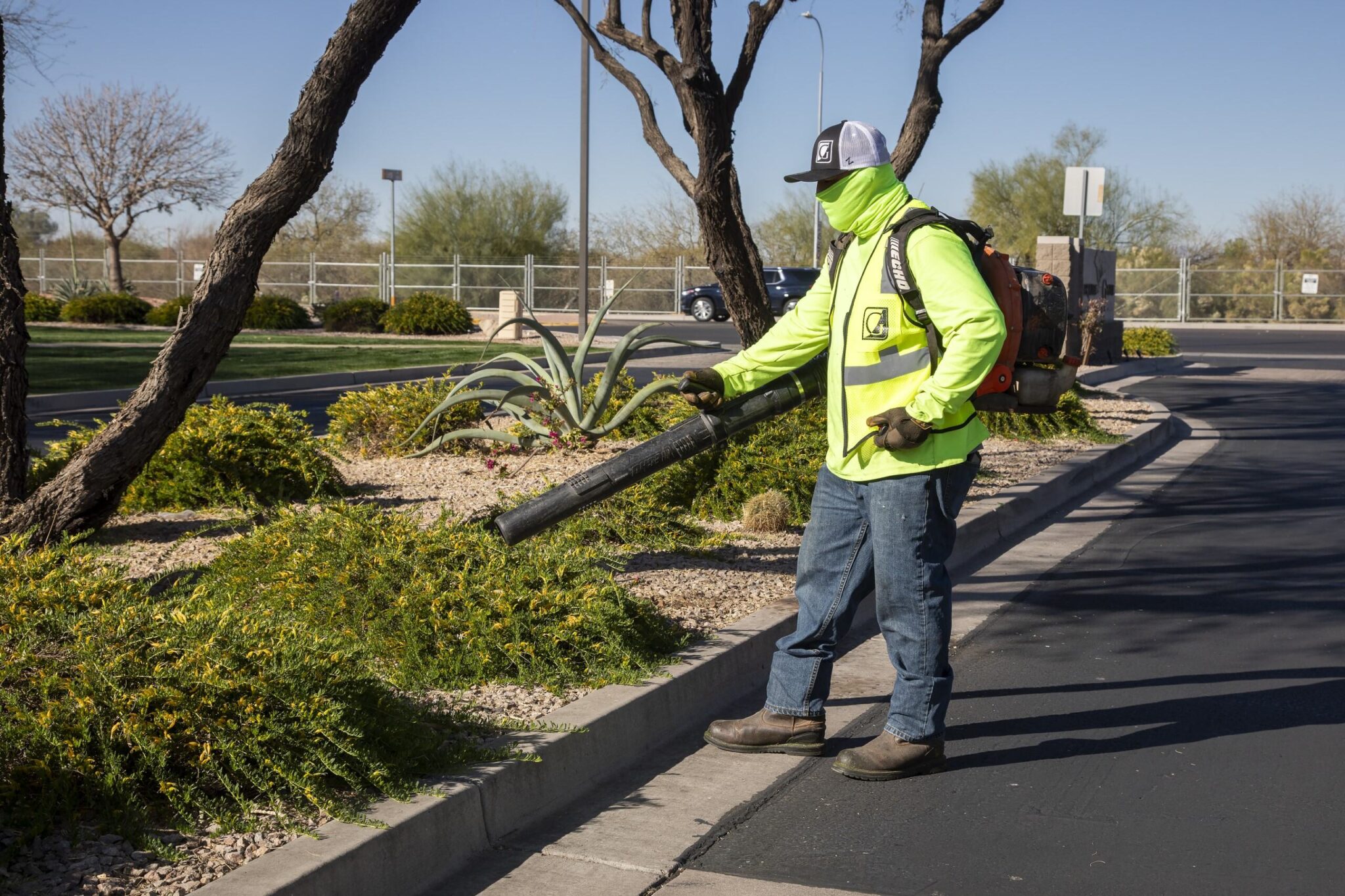 Landscape Maintenance | Genesis Landscape Solutions